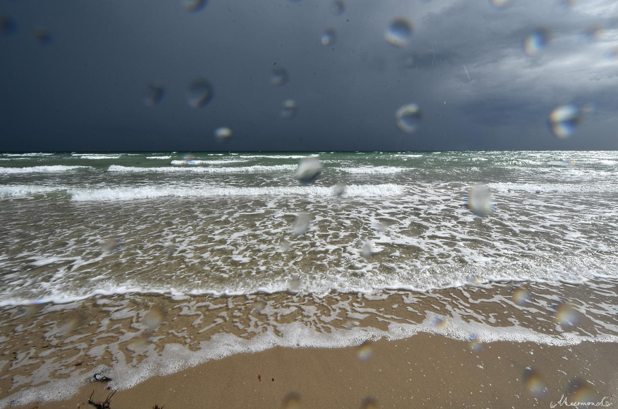 Was tun bei Regen? - Tipps für die Spitze von Dänemark - Meermond
